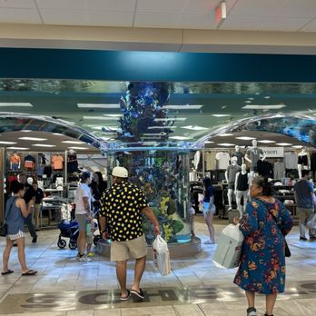 SCHEELS - Updated July 2024 - 650 Photos & 105 Reviews - 3199 W ...