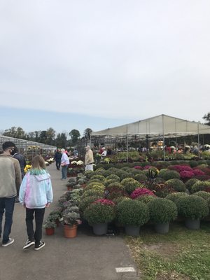 RICE’S SALE & COUNTRY MARKET - Updated November 2024 - 35 Photos & 67 ...