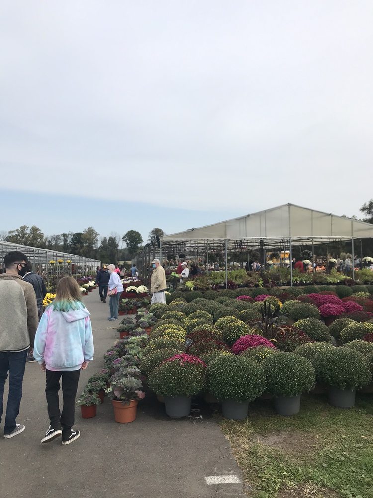 RICE’S SALE & COUNTRY MARKET - Updated November 2024 - 35 Photos & 67 ...