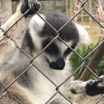 SINGLE VISION SANCTUARY - Updated December 2024 - 14 Photos & 14 ...