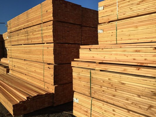 SAN LORENZO LUMBER AND HOME CENTERS - Updated September 2025 - 48 ...