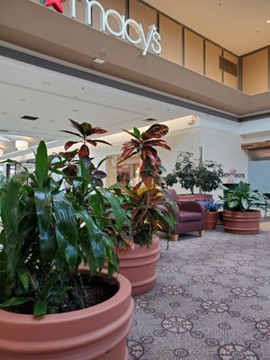 EASTVIEW MALL - Updated September 2024 - 129 Photos & 80 Reviews - 7979 ...