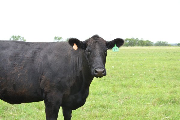 JACOBY FEED & SEED - Updated September 2025 - 31 Photos - 101 N Main St ...