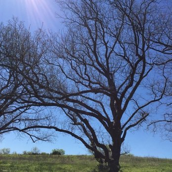 COMMONS FORD RANCH METROPOLITAN PARK - Updated December 2025 - 94 ...