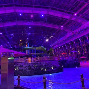 TROPIC FALLS AT OWA - 161 Photos & 70 Reviews - 1501 S Owa Blvd, Foley ...