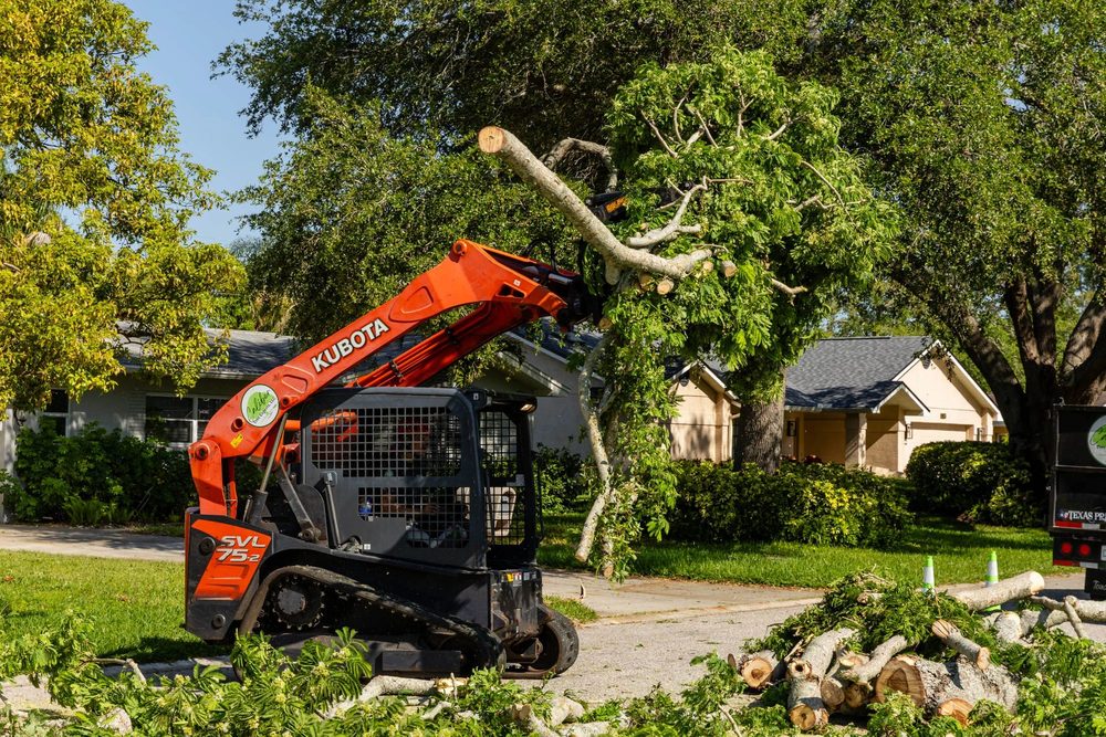 CALIBER TREE EXPERTS - Updated December 2025 - 26 Photos & 15 Reviews ...