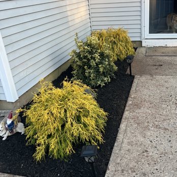 PHILLIPS & SONS LANDSCAPING - Updated August 2025 - 47 Photos ...