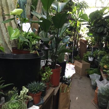 NOBLE PLANTS - Updated April 2025 - 47 Photos & 95 Reviews - 106 W 28th ...