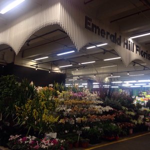 GARDENWORLD NURSERY - Updated July 2025 - Springvale Rd, Keysborough ...