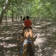 WESTCREEK TRAIL RIDES - 86 Photos & 76 Reviews - 12230 Westcreek Oaks ...