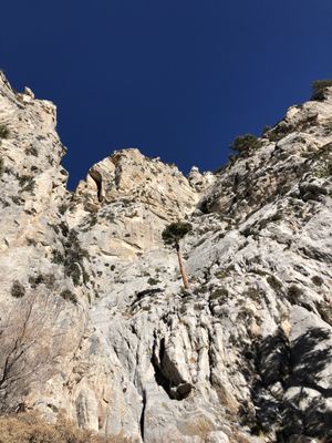 MARY JANE FALLS - Updated May 2024 - 718 Photos & 110 Reviews - Las ...