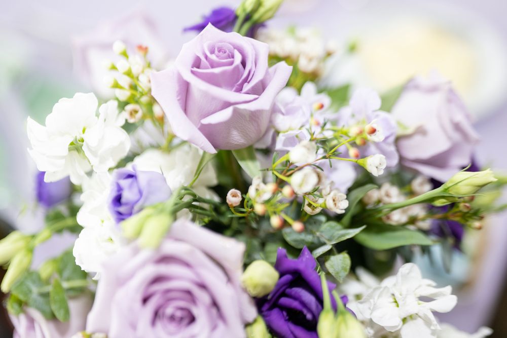 MALONE FLOWER SHOP - Updated May 2026 - 44 Photos - 17 W Pike ...