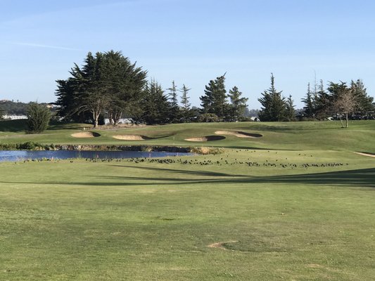 CYPRESS RIDGE GOLF COURSE - Updated November 2024 - 38 Photos & 64 ...