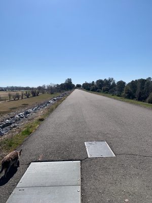 BEALS POINT CAMPGROUND - 53 Photos & 26 Reviews - 7806 Folsom Lake ...