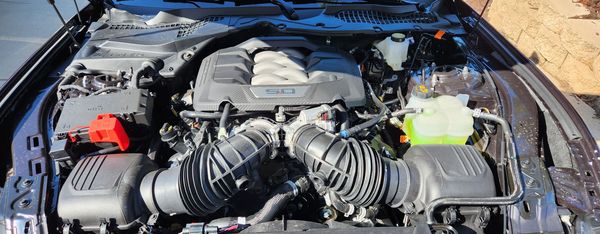 SEDANO FORD - Updated October 2025 - 84 Photos & 182 Reviews - 8970 La ...