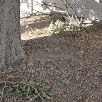 GUD COMMUNITY MANAGEMENT - Updated January 2025 - 69 Reviews - 4135 S ...