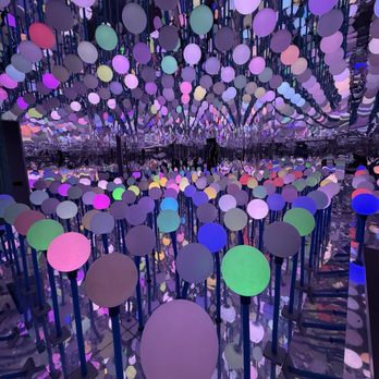 SEISMIQUE - Updated December 2025 - 819 Photos & 229 Reviews - 2306 Hwy ...