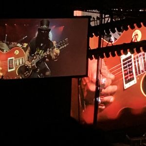 SPORTY’S BIKINI BAR - 42 Photos & 135 Reviews - 1053 E El Camino Real ...