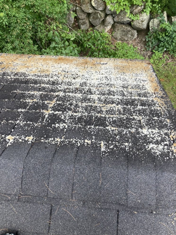 SPLASH PRESSURE WASHING - Request a Quote - 11 Photos - North Sandwich ...