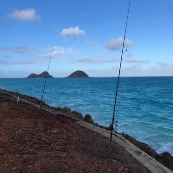 BELLOWS AFS CABINS - Updated September 2025 - 186 Photos & 54 Reviews ...