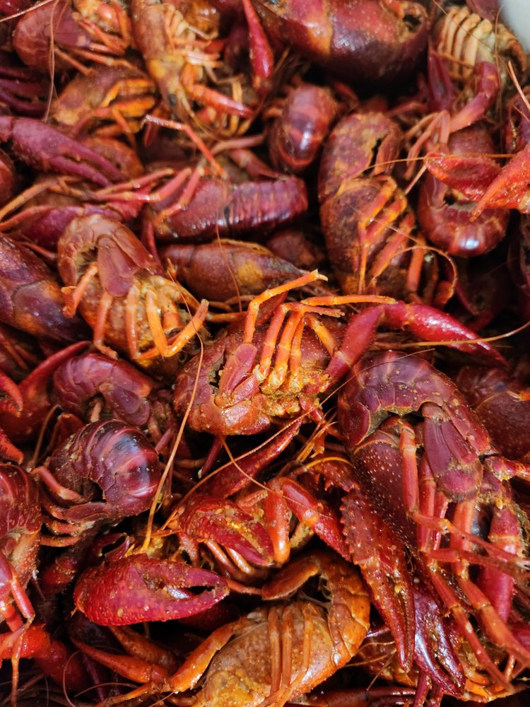 MUD BUGS - Updated April 2024 - 201 US-90, Bay St. Louis, Mississippi ...