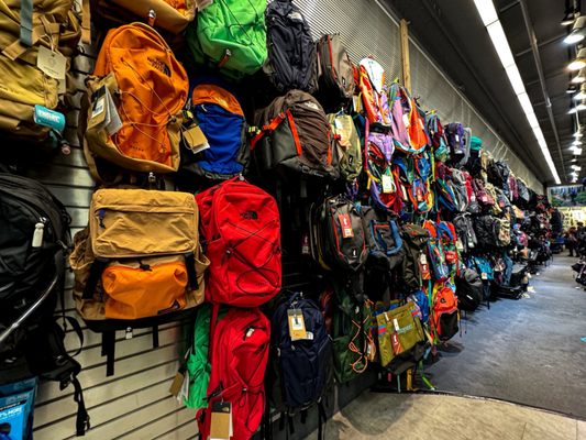 PARAGON SPORTS - Updated May 2025 - 206 Photos & 991 Reviews - 867 ...