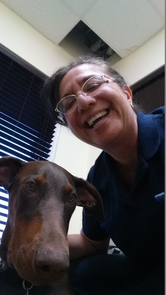 KAHU DOG CARE - Updated March 2025 - Request Information - Fontana ...