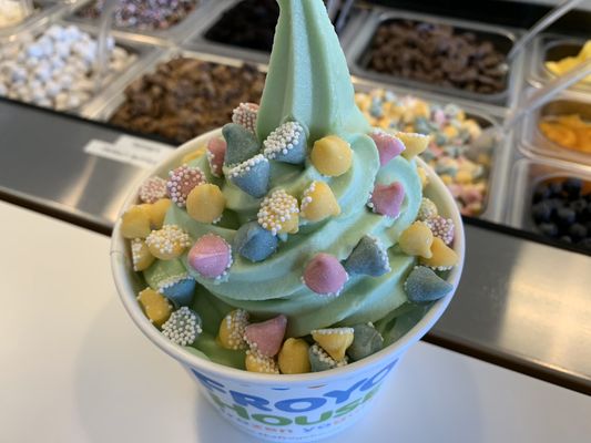 THE FROYO HOUSE - Updated October 2025 - 31 Photos & 36 Reviews - 550 ...