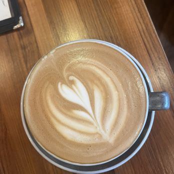 JAVA NATION - KENSINGTON - Updated July 2025 - 303 Photos & 293 Reviews ...