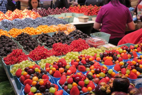 SUNLIGHT FARMS - Updated September 2025 - 12 Photos & 11 Reviews - 1689 ...