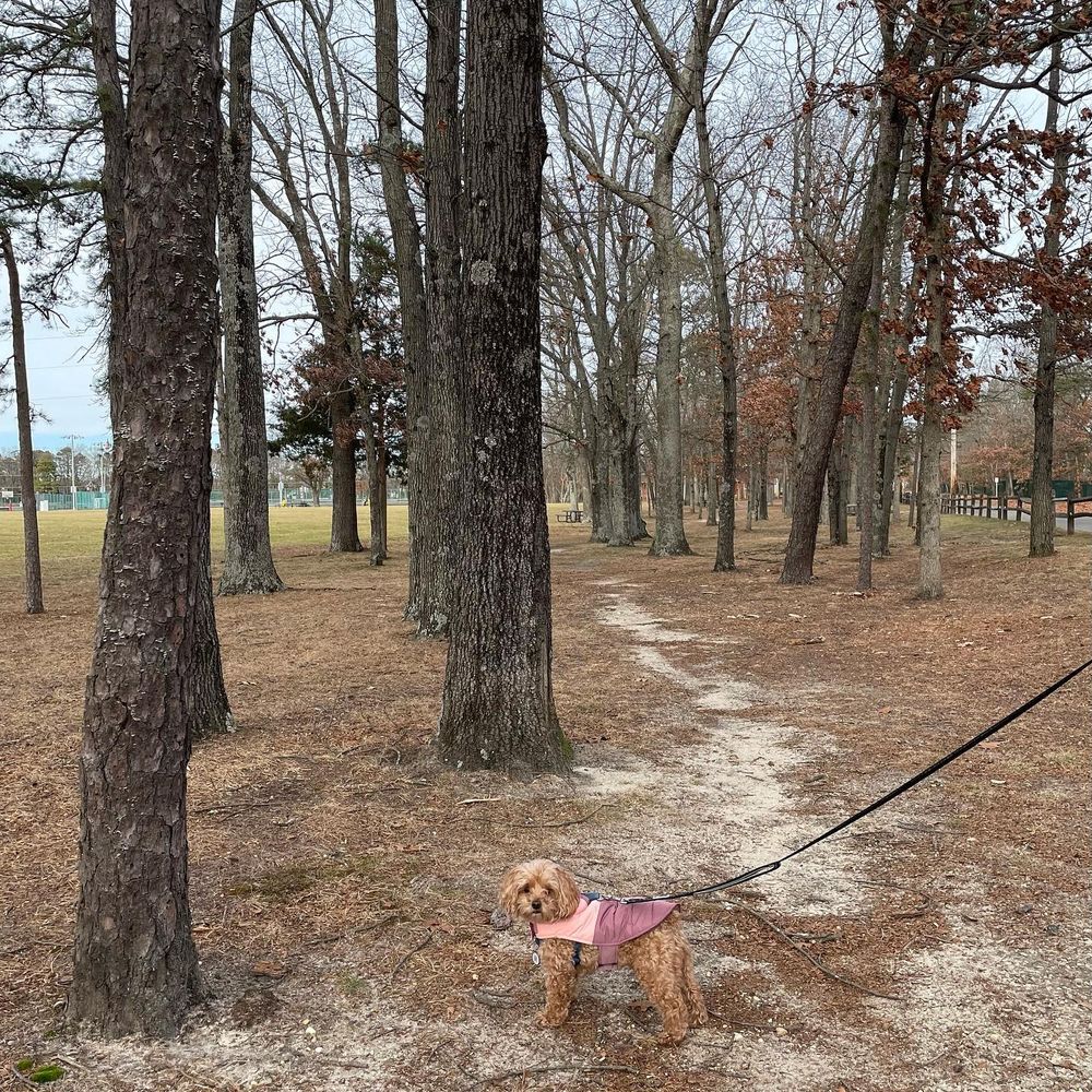 JOHNSON PARK - Updated December 2025 - 144 Photos & 48 Reviews - River ...