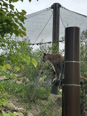 OC ZOO IRVINE REGIONAL PARK - Updated July 2024 - 33 Photos & 19 ...