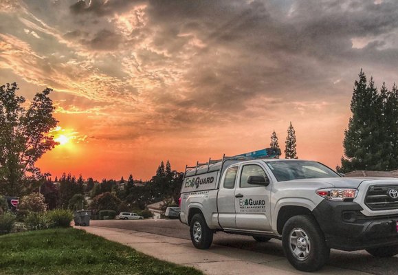 ECOGUARD PEST MANAGEMENT - Updated December 2025 - 21 Photos & 109 ...