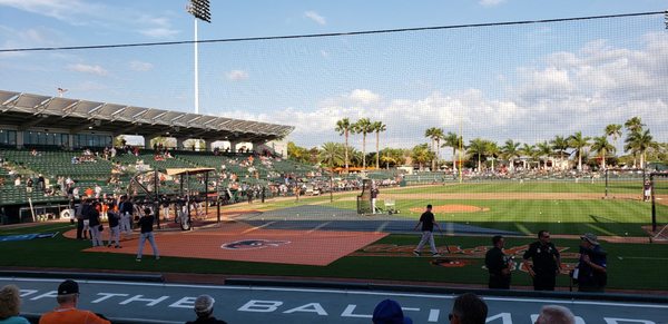 ED SMITH STADIUM - 209 Photos & 39 Reviews - 2700 12th St, Sarasota, FL ...