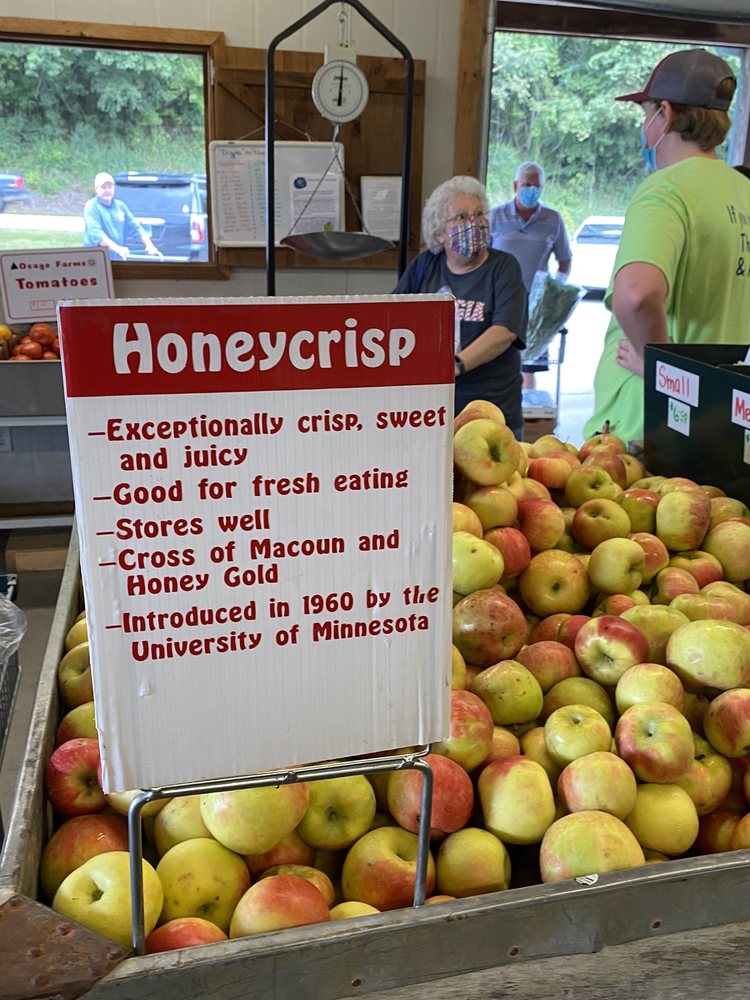 OSAGE FARM - 55 Photos & 28 Reviews - 5030 N Hwy 441, Rabun Gap, GA - Yelp