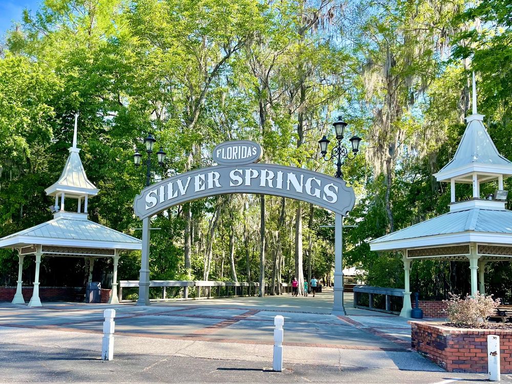 SILVER SPRINGS STATE PARK - 886 Photos & 214 Reviews - 5656 E Silver ...