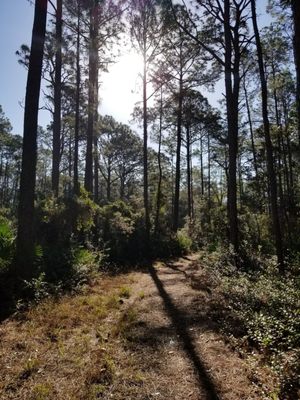 VICTORIA BLUFF HERITAGE PRESERVE - 21 Photos - 148 Sawmill Creek Rd ...