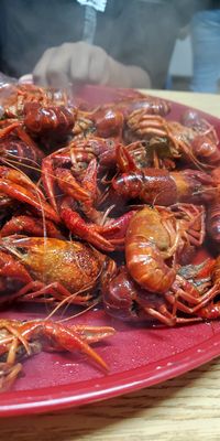 Bayou Cat Restaurant - 256 Photos & 266 Reviews - Seafood - 2505 E ...
