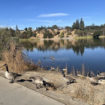 VASONA LAKE COUNTY PARK - Updated December 2025 - 1317 Photos & 449 ...