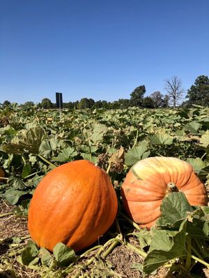 EXPLORATION ACRES - Updated September 2024 - 65 Photos & 28 Reviews ...