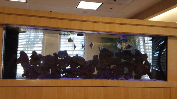 TEMECULA VALLEY ADVANCED IMAGING - Updated September 2024 - 40 Photos ...