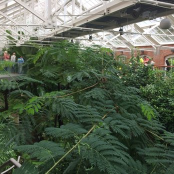 TROPICAL RAVINE - 15 Photos - Belfast Botanic Gardens, Belfast ...