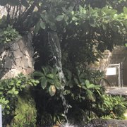 ICHIMURA MIAMI JAPANESE GARDEN - 113 Photos & 15 Reviews - Miami ...