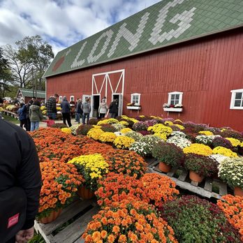 LONG FAMILY ORCHARD & FARM - Updated October 2025 - 135 Photos & 127 ...