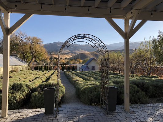 LAVENDER RIDGE - 90 Photos & 31 Reviews - 7450 W 4th St, Reno, NV - Yelp