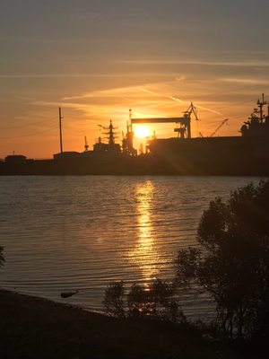 PASCAGOULA BEACH PARK - Updated June 2025 - 55 Photos & 14 Reviews ...