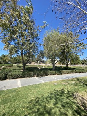 JESSAMYN WEST PARK - 25 Photos - Parks - 19115 Yorba Linda Blvd, Yorba ...