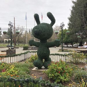 SNOOPY’S HOME ICE - REDWOOD EMPIRE ICE ARENA - 162 Photos & 118 Reviews ...