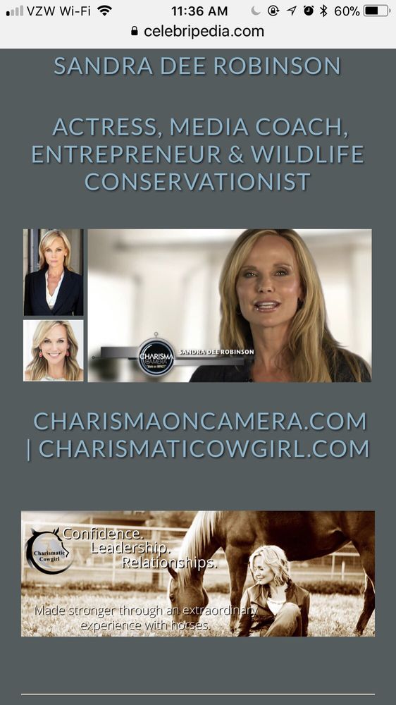 SCHAUL PR - Updated January 2025 - Beverly Hills, California - Public ...