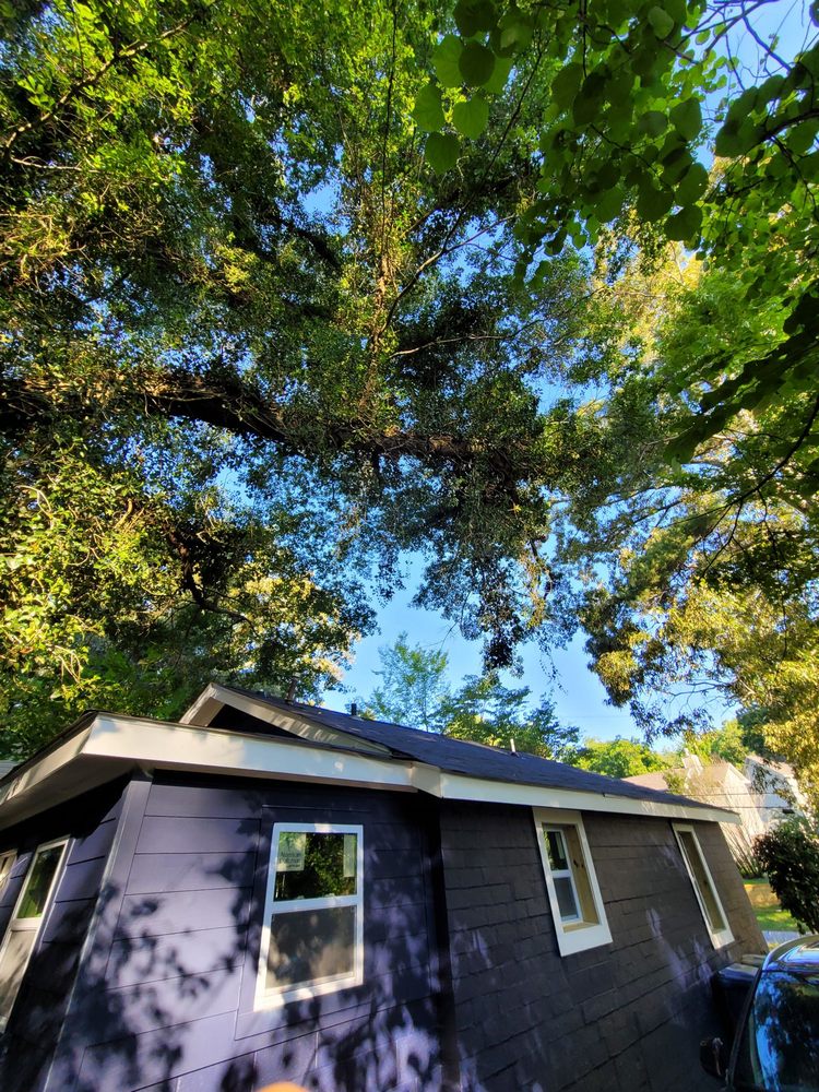 EDDY’S TREE SERVICE - Updated October 2025 - 11 Photos - Marietta ...